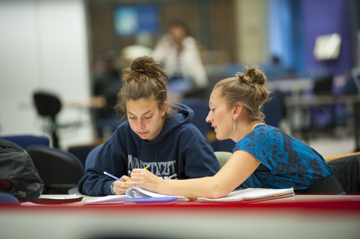Academic Support | Undergraduate Advising
