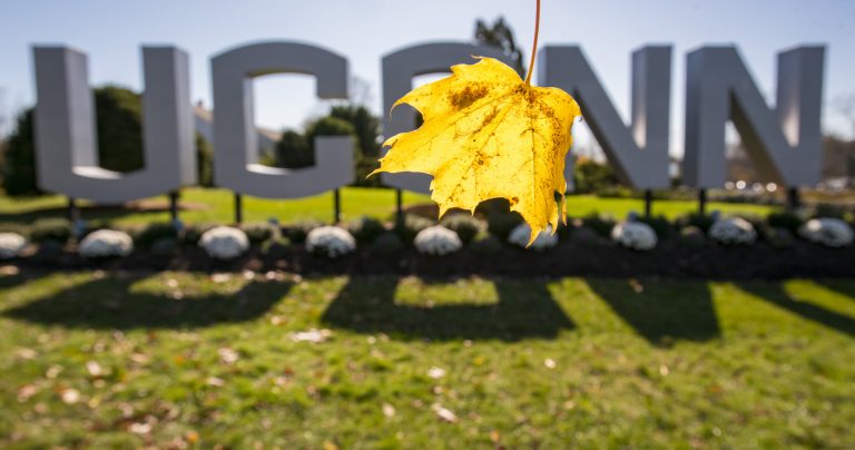Using Student Admin | Undergraduate Advising | University of Connecticut