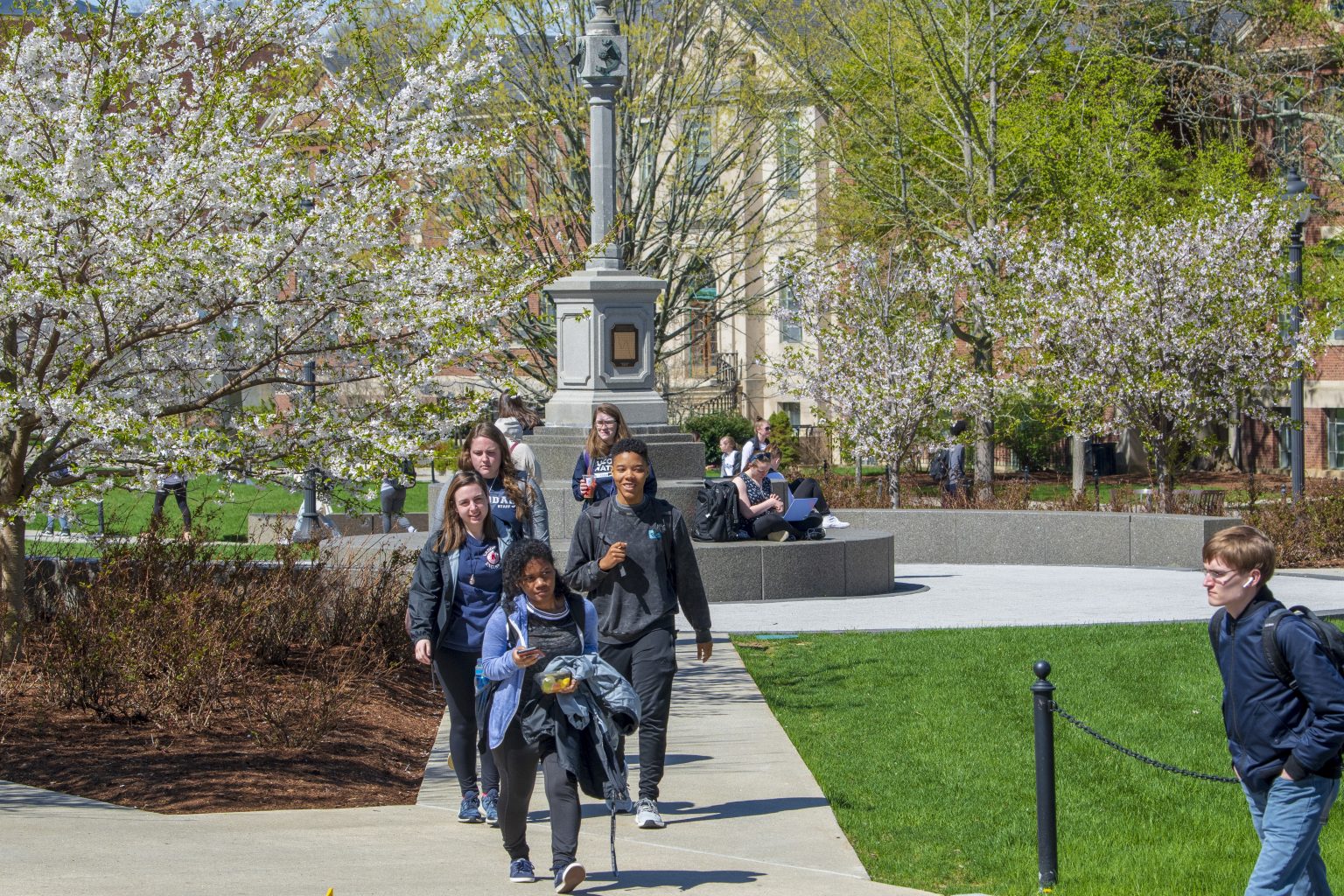 Using Husky CT | Undergraduate Advising